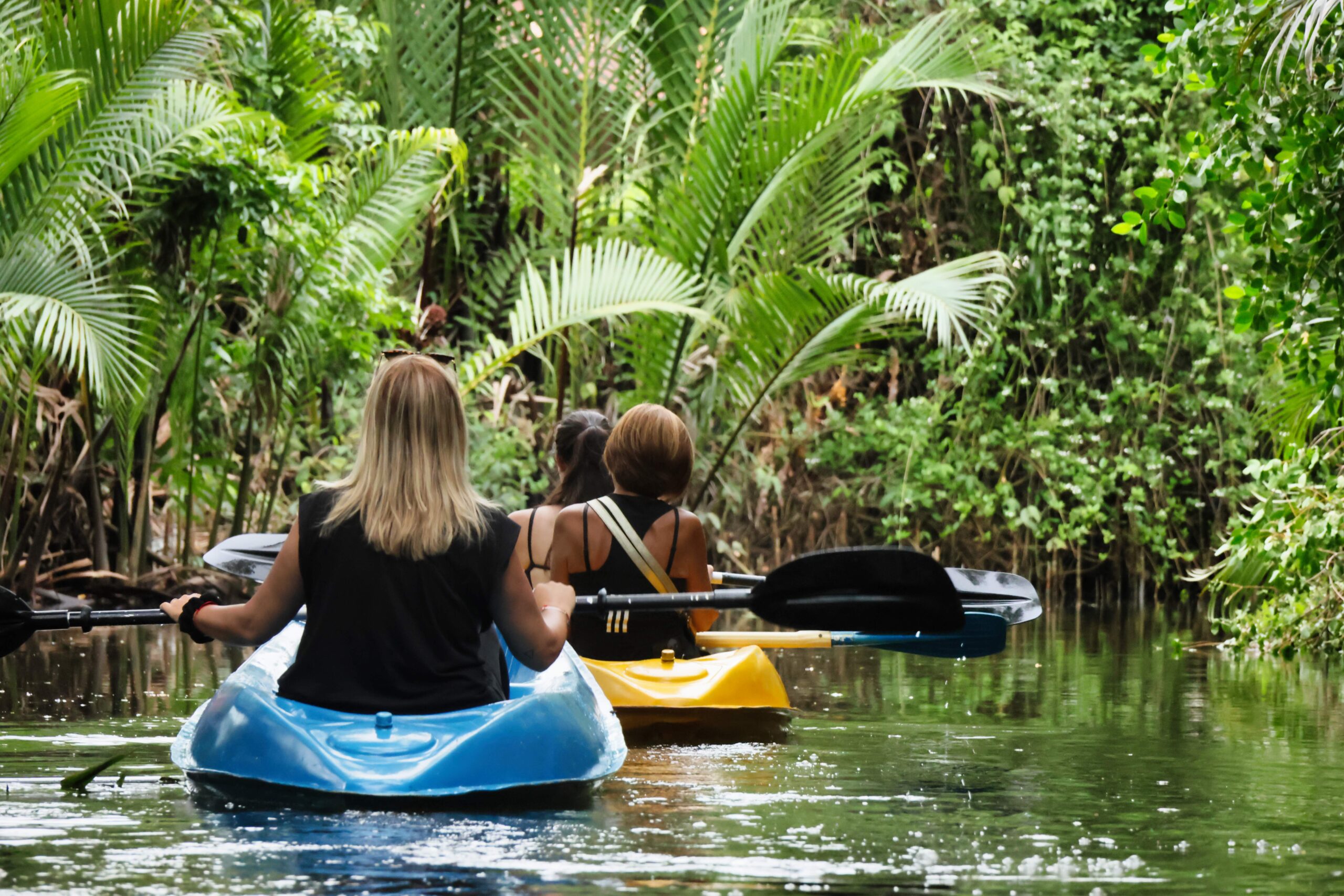 #8 Une aventure inoubliable en kayak à travers la mangrove de Kampot ...